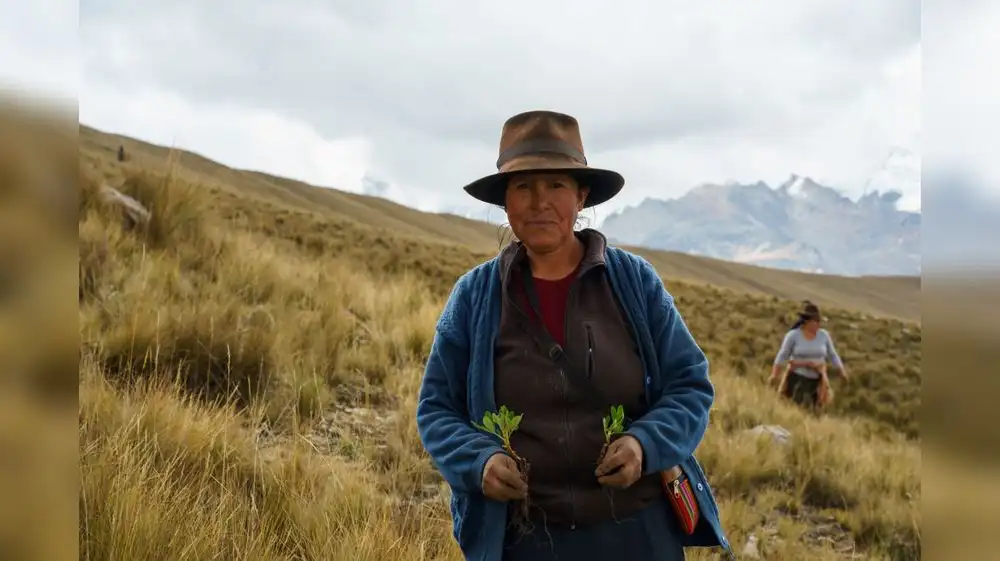 Siembran 150 mil árboles en jornada masiva de reforestación